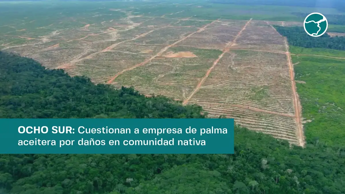 Ocho Sur: Cuestionan empresa por daños en comunidad nativa