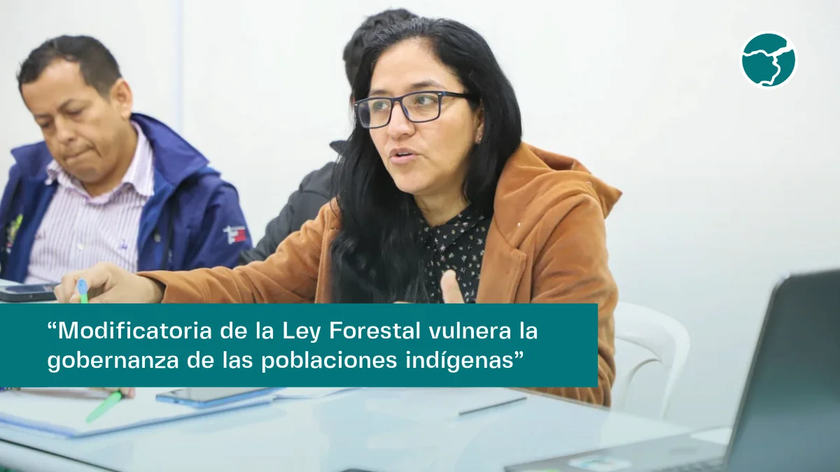 Modificatoria vulnera a los pueblos indígenas| Inforegión