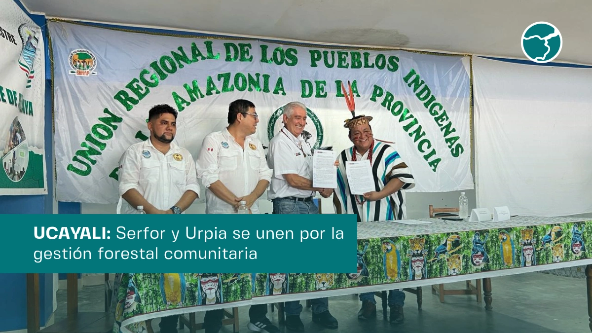 Ucayali: Serfor y Urpia se unen por la gestión forestal