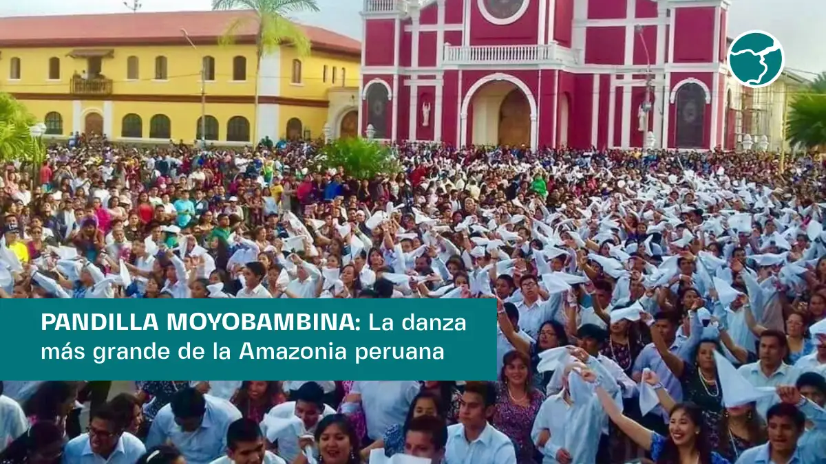Pandilla Moyobambina: La danza más grande de la Amazonia