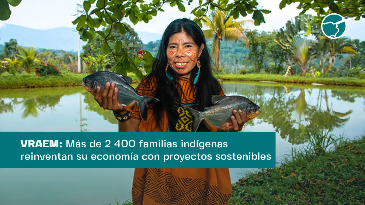 Más de 2 400 familias del Vraem reinventan su economía