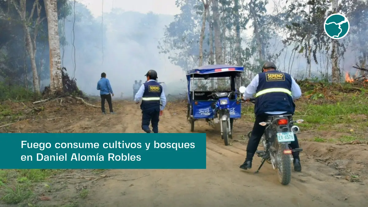Daniel Alomía Robles: Fuego consume cultivos y bosques