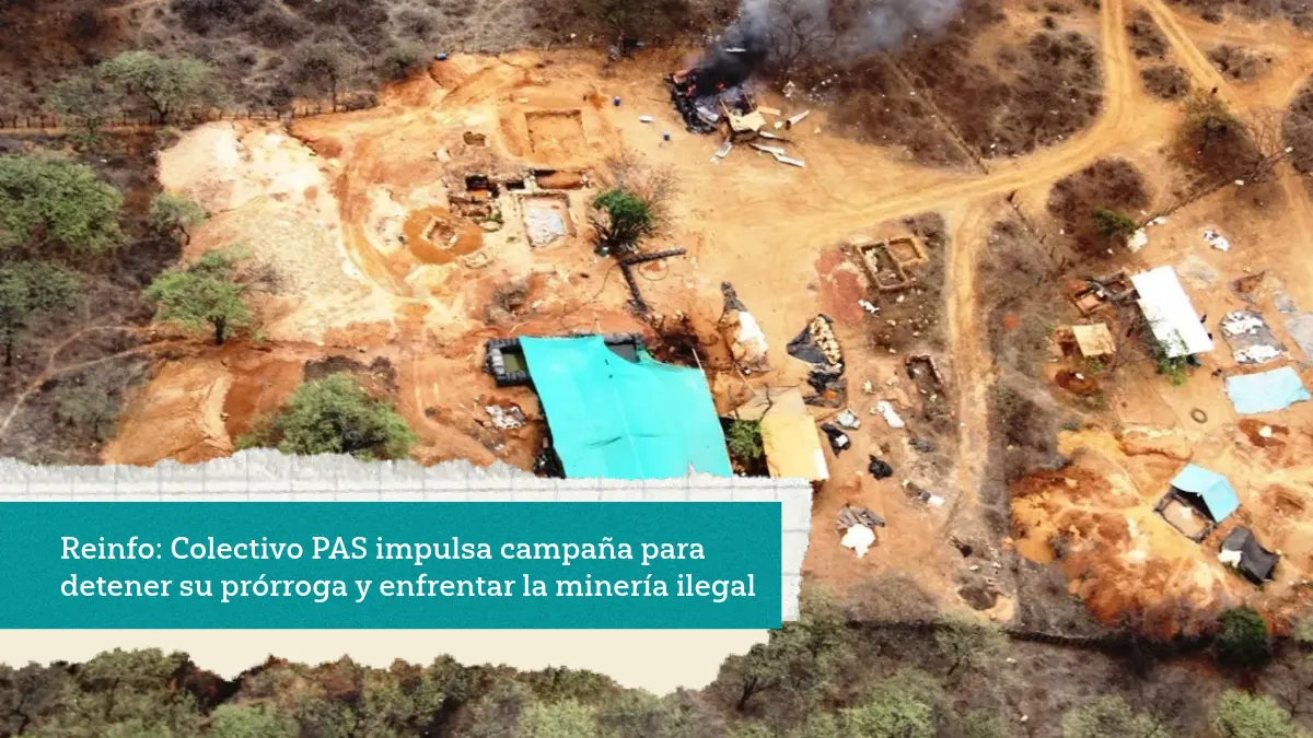 Reinfo: Lanzan campaña nacional para frenar su ampliación